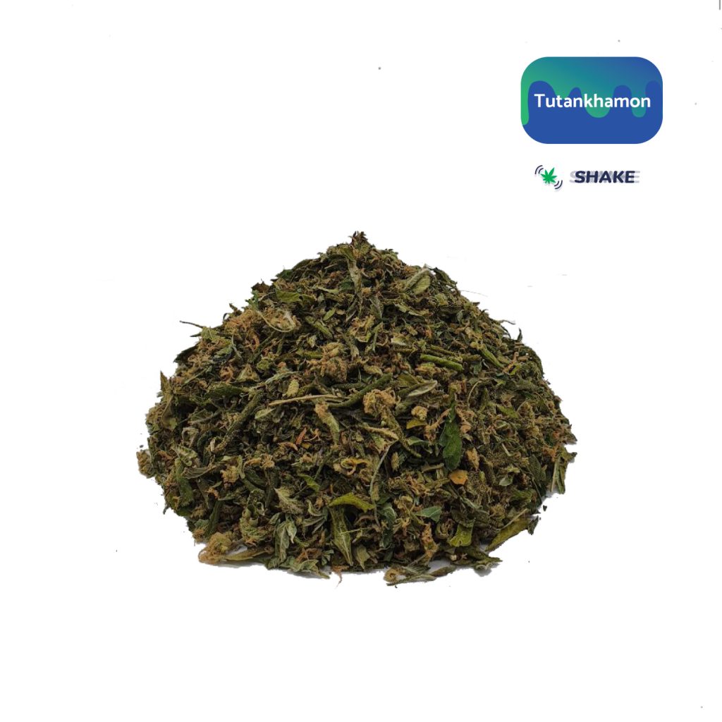 Weed Shake Buy Online in UK with Delivery | Weedzy Shop